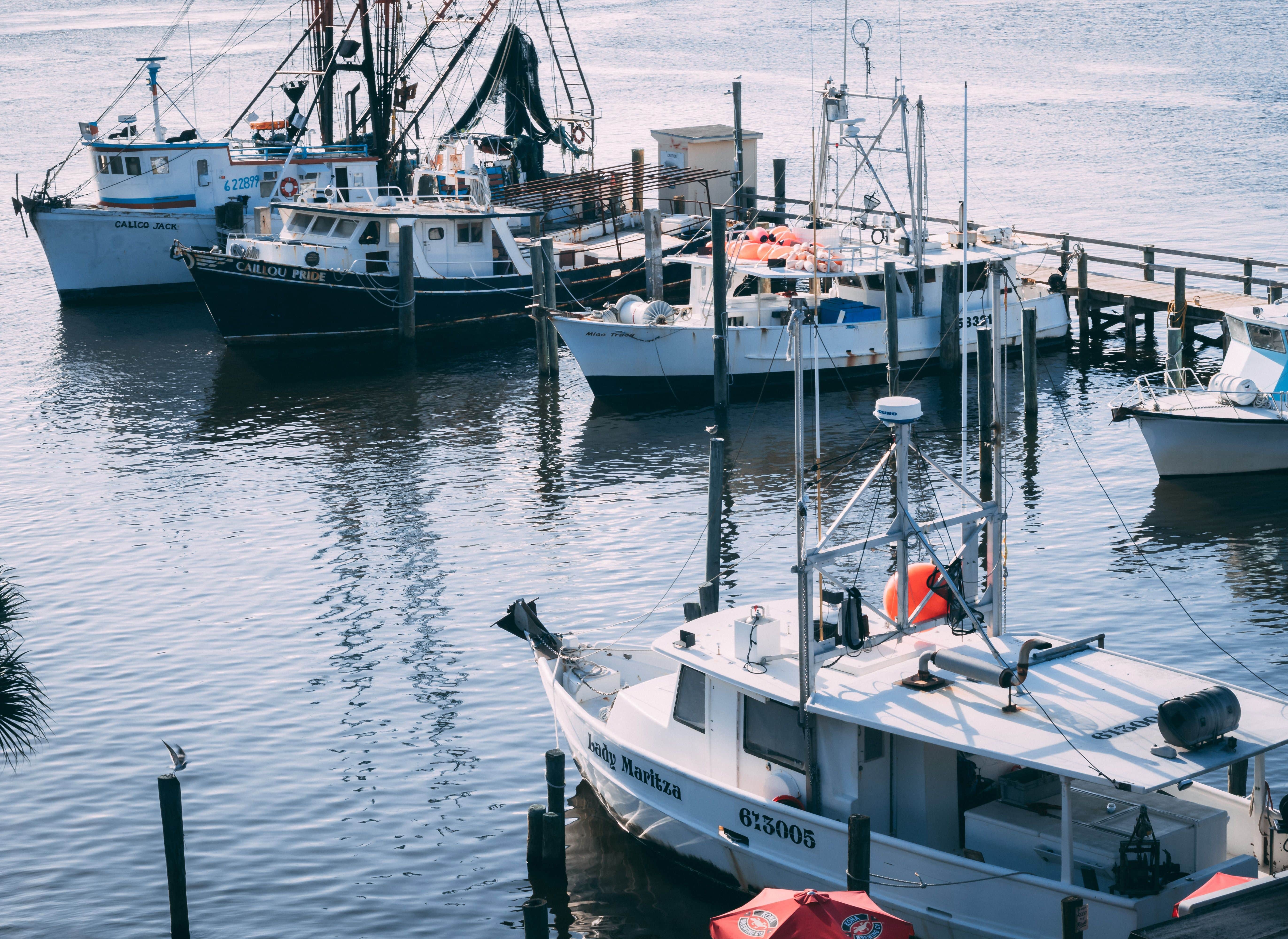 King's Seafood